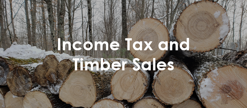 Income Tax Timber Sales - Wisconsin Forestry Center | UWSP