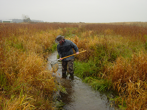 Research - Aquatic Biomonitoring Laboratory | UWSP