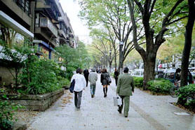 Tree Canopy Loss - LEAF - Wisconsin’s K-12 Forestry Education Program ...