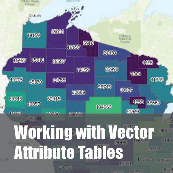 Working with Vector Attribute Tables - Geographic Information Systems ...