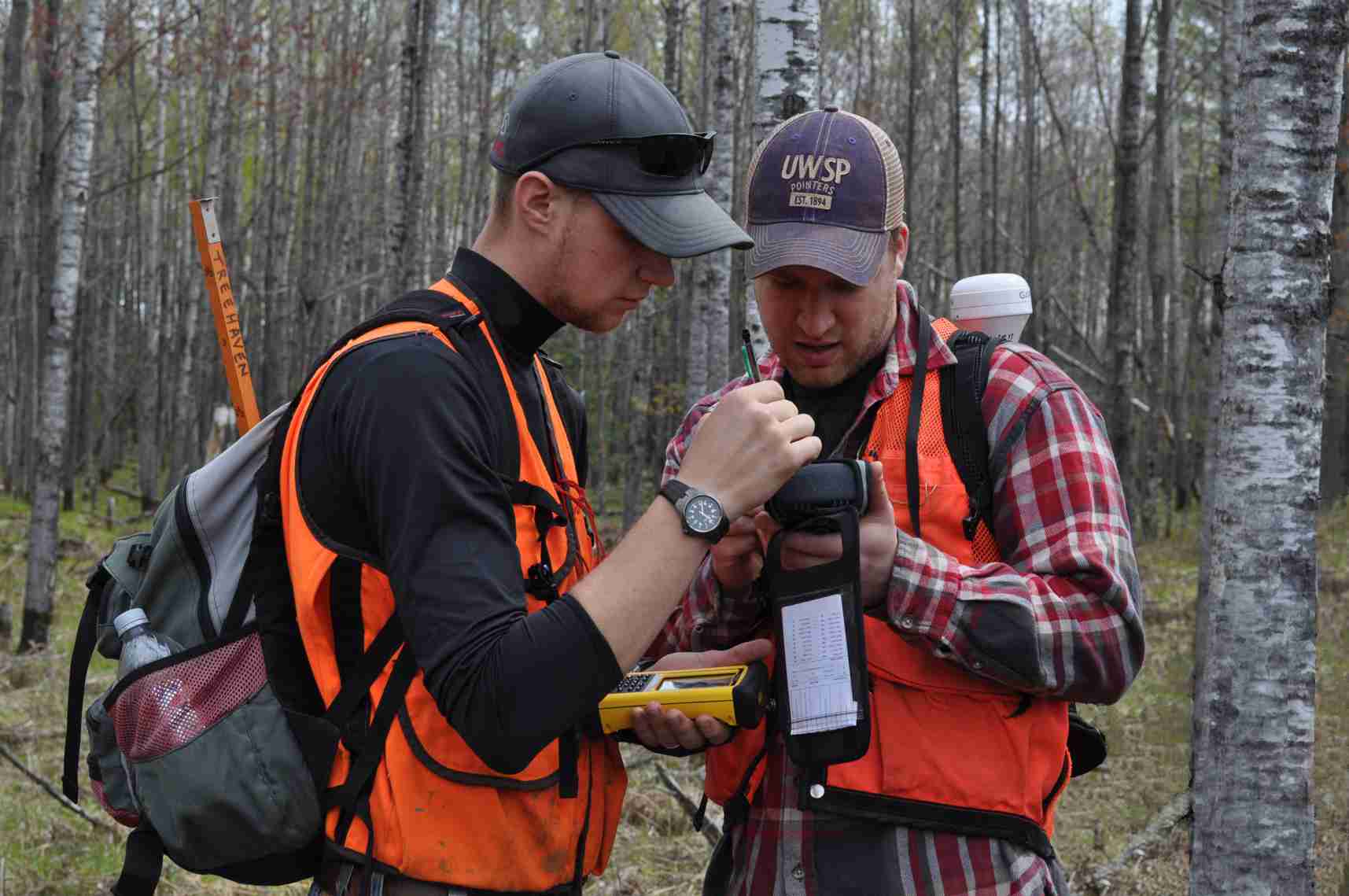 Foresters - All Pictures