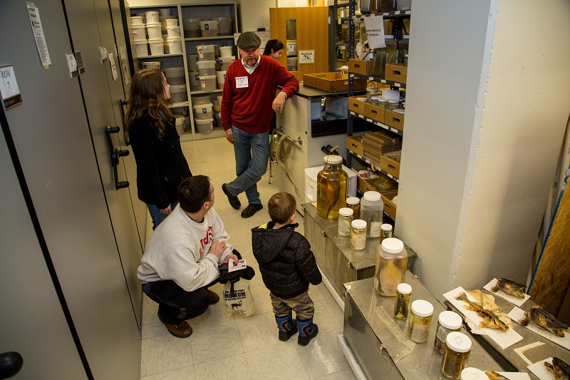 Collections: Ichthyology - Thumbnails