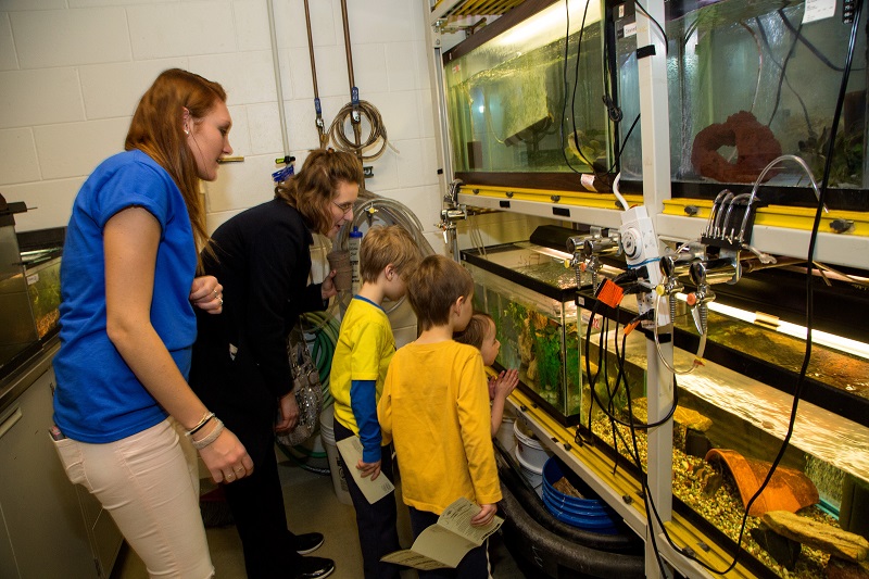 Collections: Ichthyology - Thumbnails