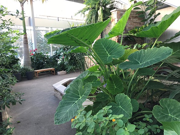 Chemistry Biology Building - College of Letters and Science | UWSP