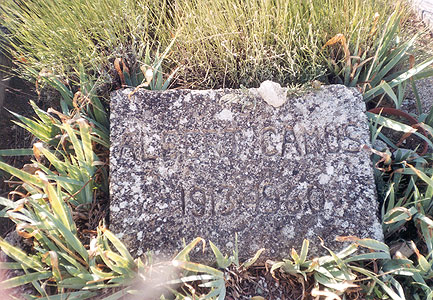 Pictures - Alek Toumi | UWSP