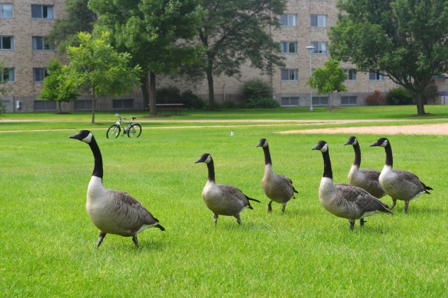 Housing and Residence Life - Housing and Residence Life | UWSP